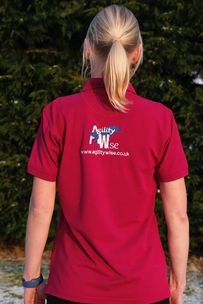 Merchandise - Agility Wise